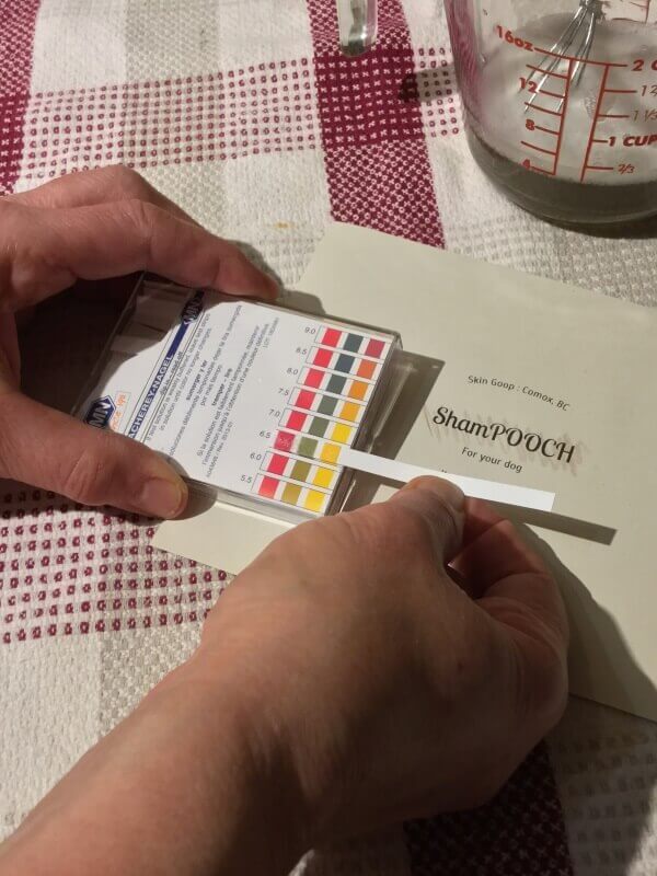 ShamPOOCH Bar with Oatmeal